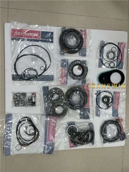 Overhaul kit-TRANSPROFESSOR